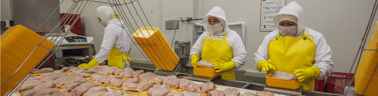 Colombian Chicken Exports 2.0 - FENAVI - Federación Nacional de ...